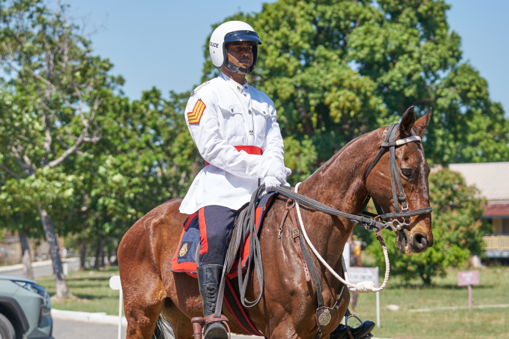 Mounted Troop: Unmatched Grace and Poise - Jamaica Constabulary Force
