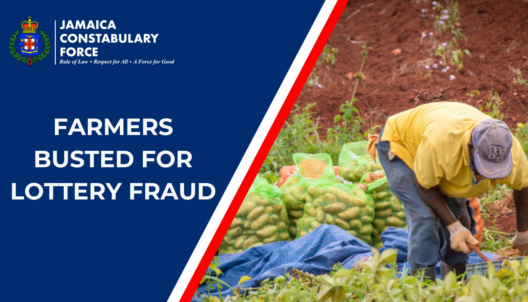FARMERS BUSTED FOR LOTTERY FRAUD - Jamaica Constabulary Force