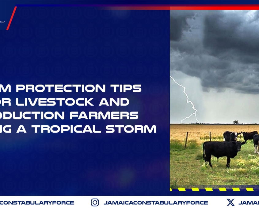 JCF ANNOUNCES LEADERSHIP CHANGES - Jamaica Constabulary Force