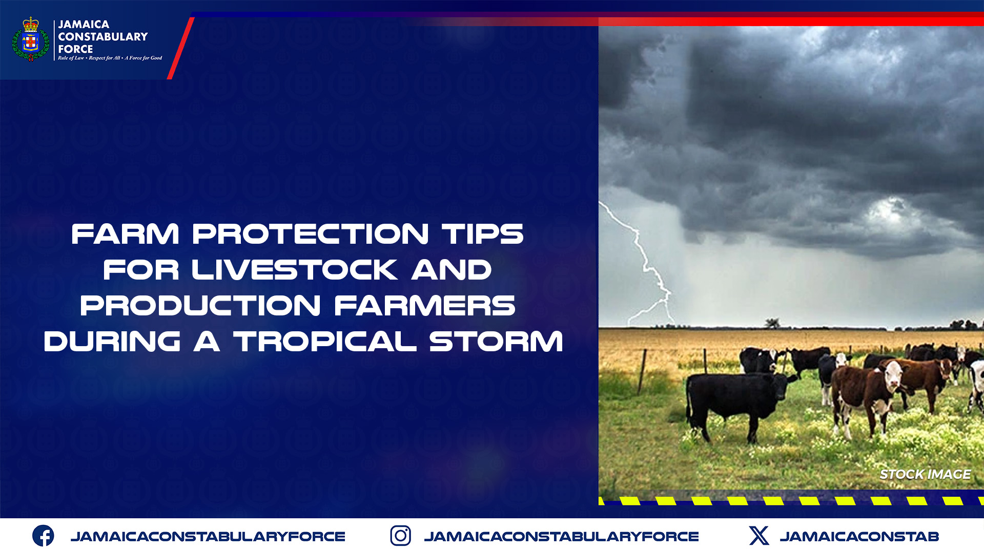 Farmer Protection Tips for Livestock and Production Farmers During a ...